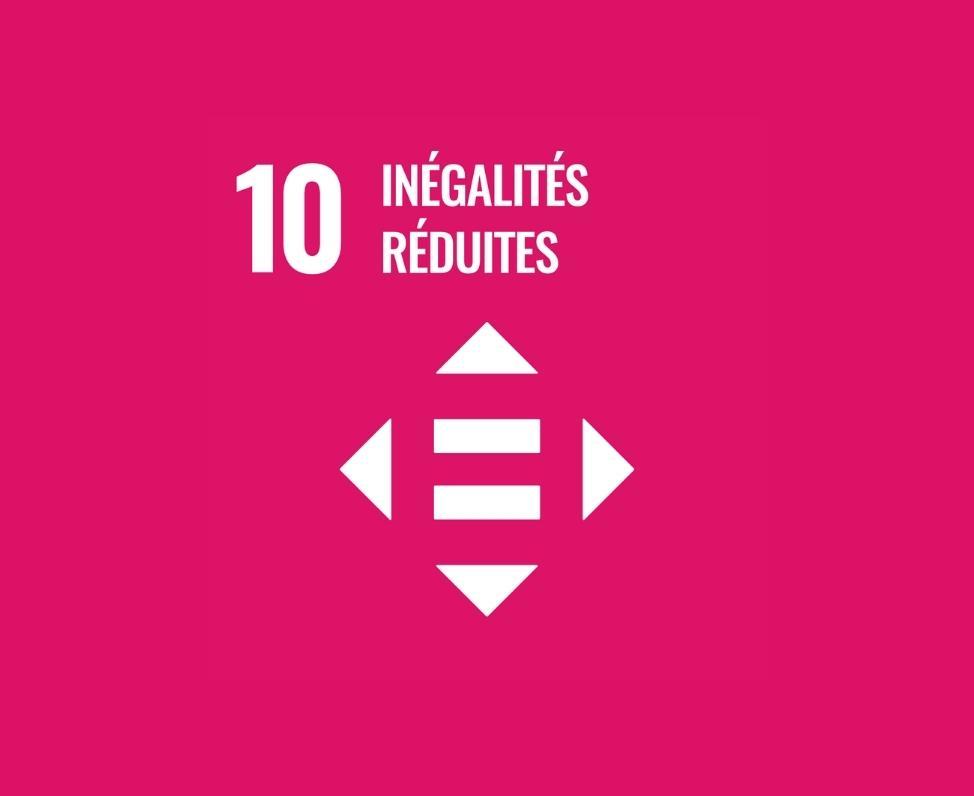 ODD 10 | Réduction des inégalités | EIVP | École des Ingénieurs de la ...