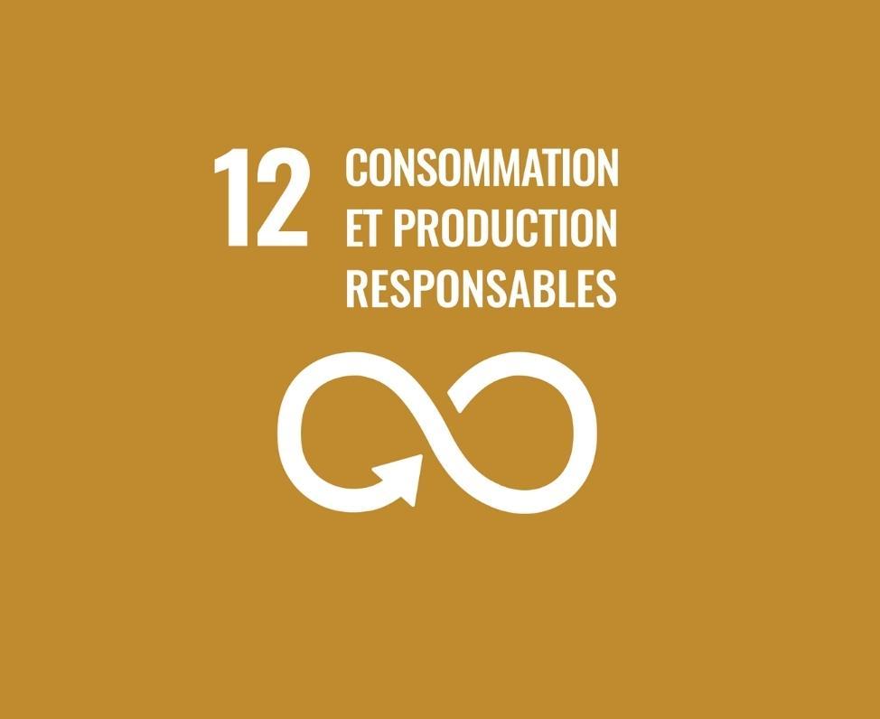 ODD 12 | Consommation et production durables | EIVP | École des ...